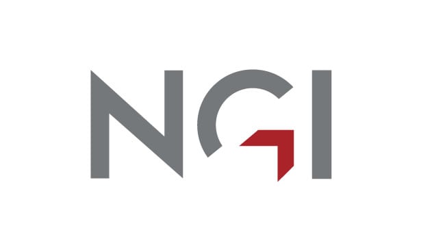 NGI - NGI